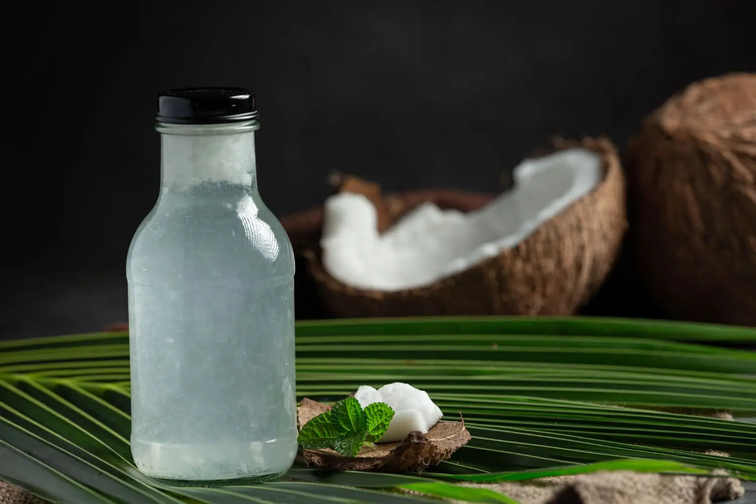 Air Kelapa - Cara Enak untuk Menghidrasi Tubuh - Sirka.health Blog